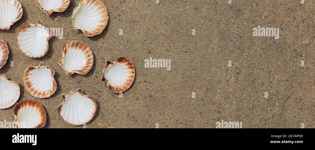Scallops on a stone Stock Photo - Alamy