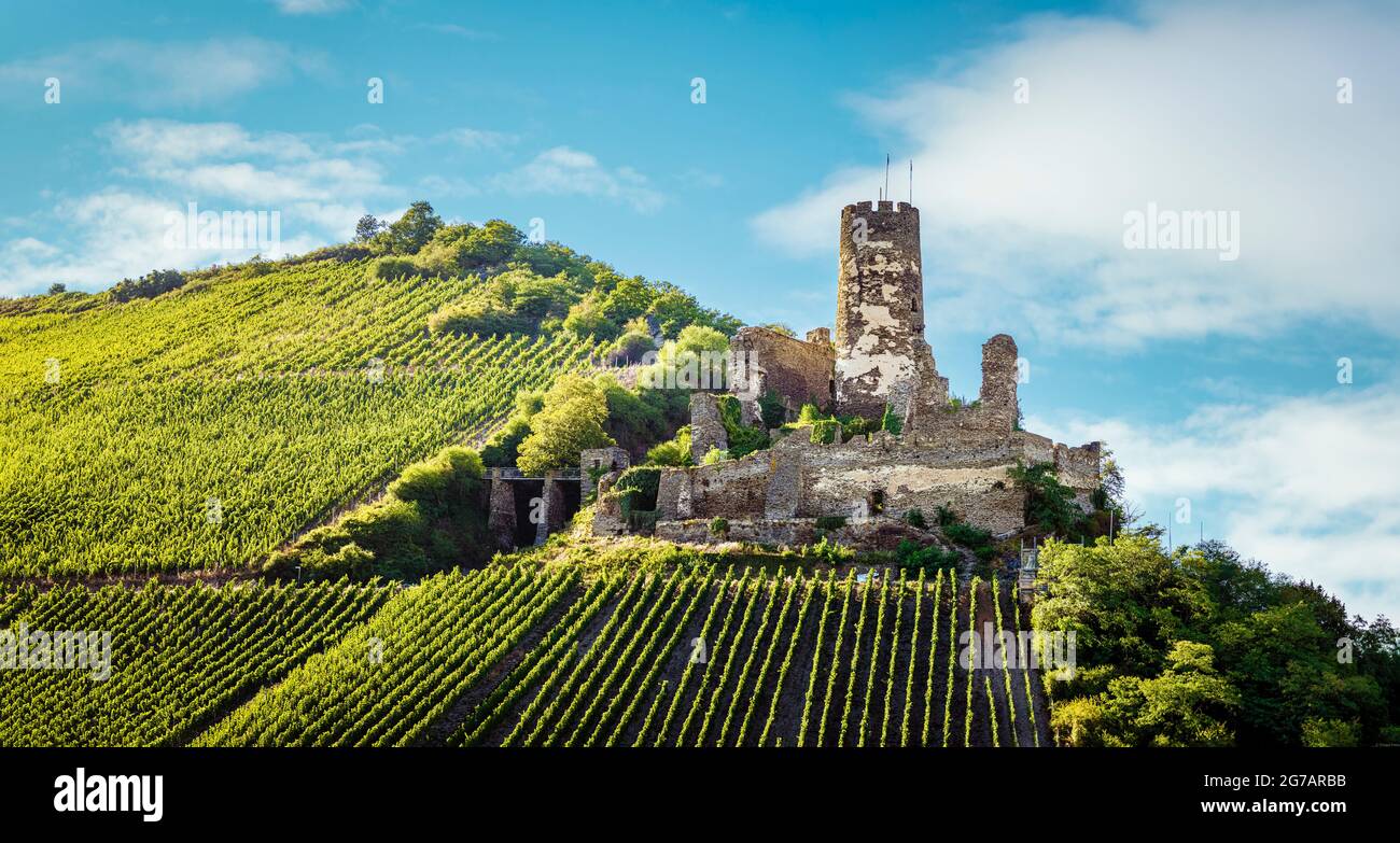 "Unesco World Heritage Upper Middle Rhine Valley", 2015, keep, castle ...