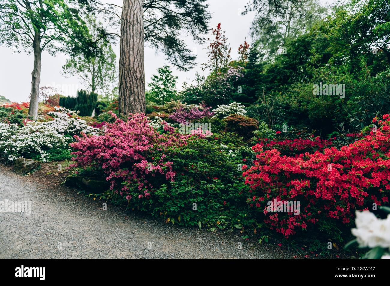 Beautiful Garden with blooming trees during spring time Stock Photo - Alamy