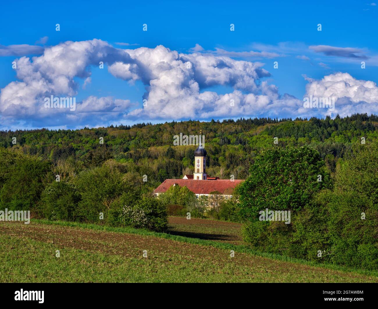 Cistercian abbey, monastery, trees, surroundings, forest, forest ...