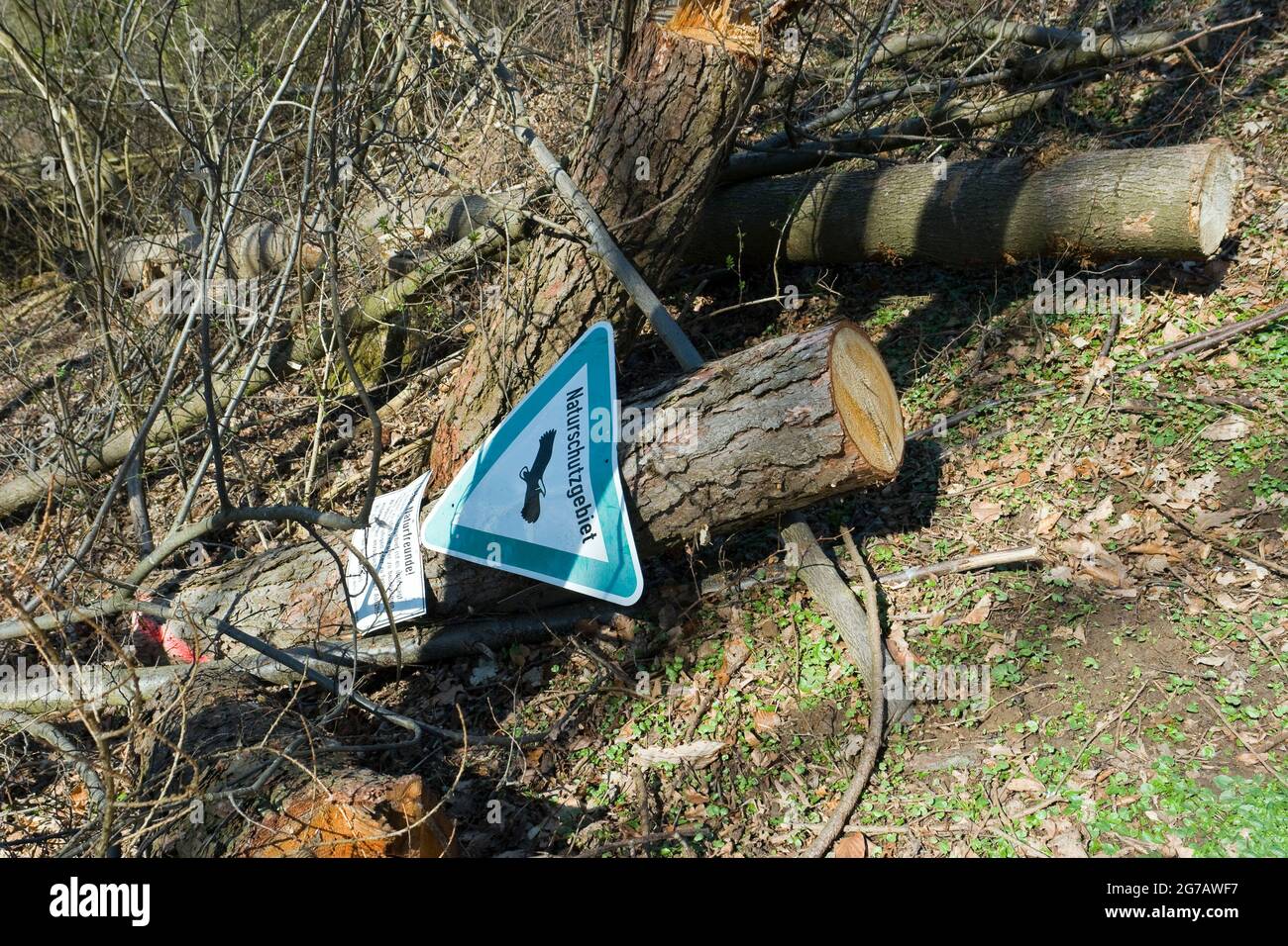 Logging in the schonrain nature reserve hi-res stock photography and ...