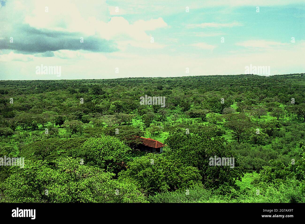 Lowland forest ecosystem hi-res stock photography and images - Alamy