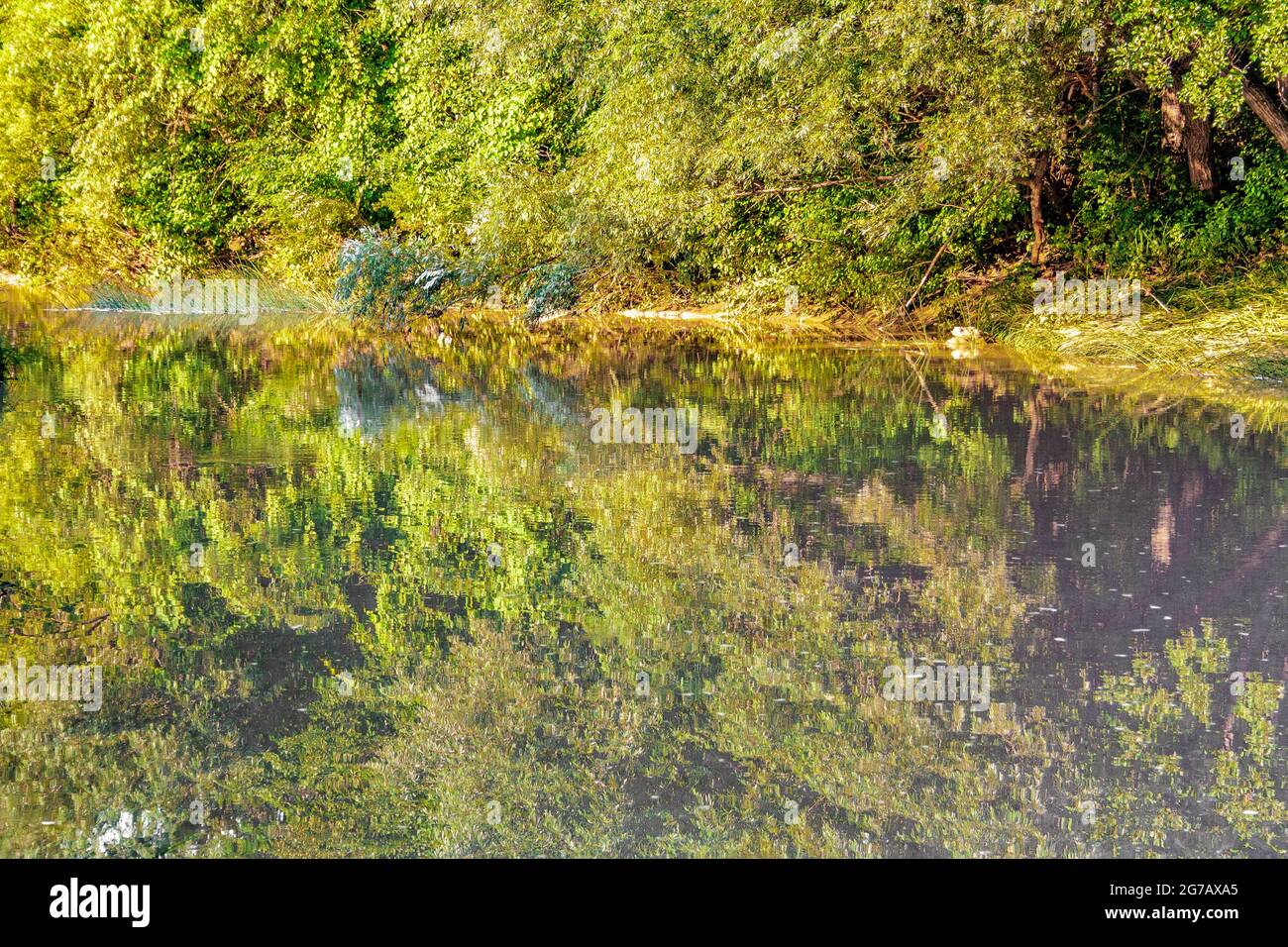 Landscape of a forest lake with a reflection in the water Stock Photo ...