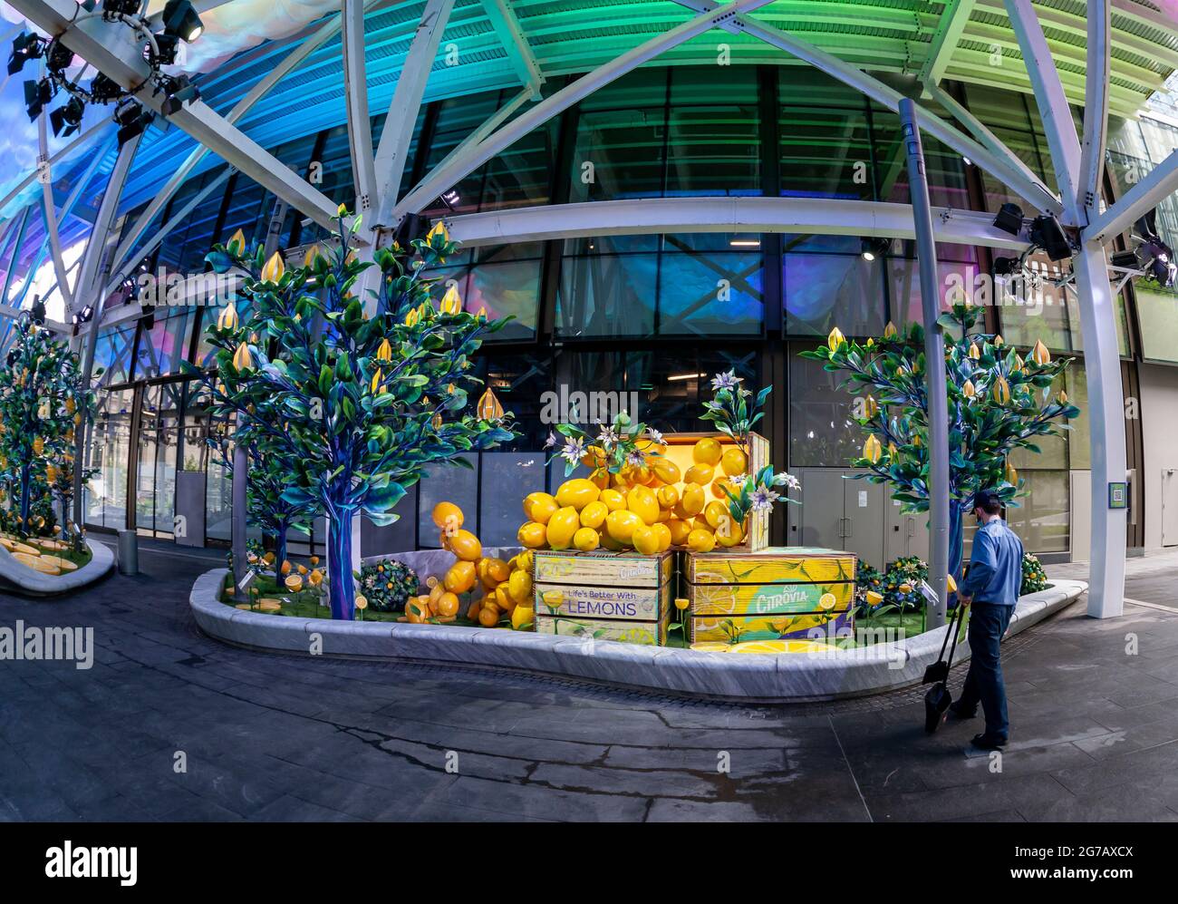 Citrovia, under construction scaffolding adjacent to BrookfieldÕs ...