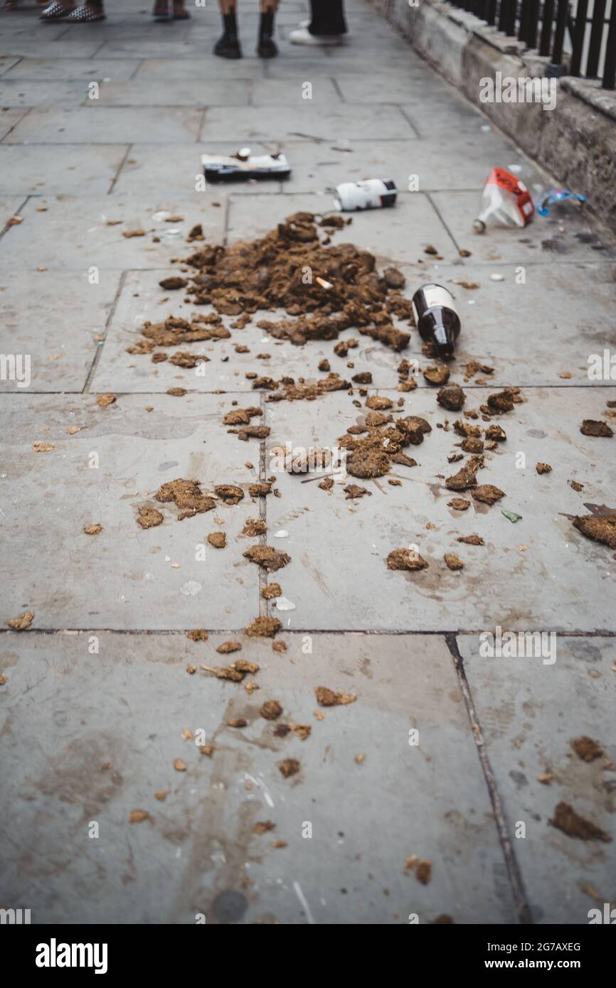 Horse manure police hi-res stock photography and images - Alamy