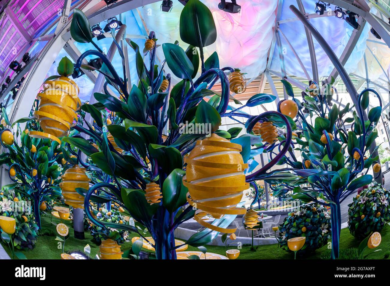 Citrovia, under construction scaffolding adjacent to Brookfield’s ...