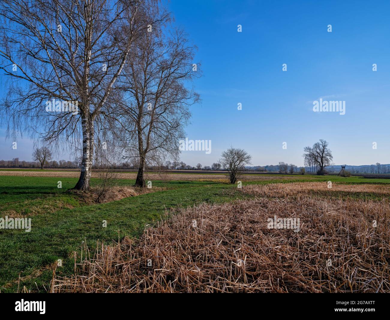 Field, arable land, meadows, trees, rows of trees, hedges, agricultural ...