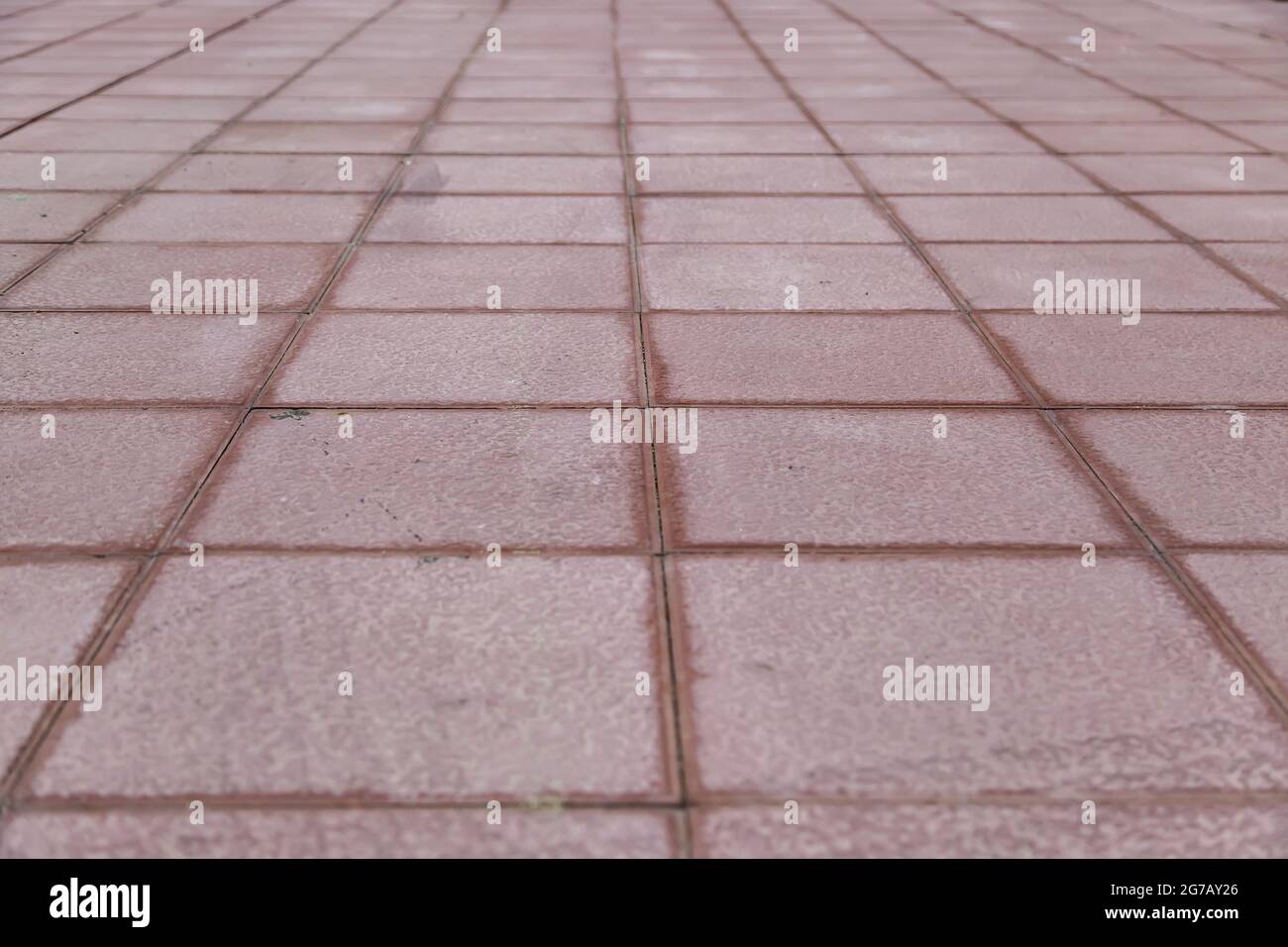 Cement plates on a pedestrian path Stock Photo - Alamy