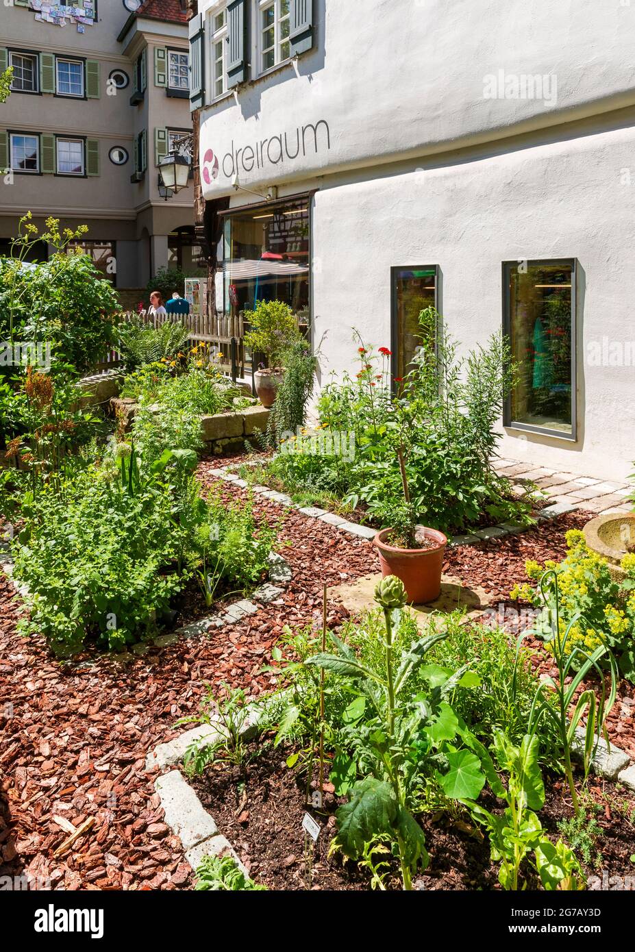 The memory garden of Leonhart Fuchs was laid out directly in front of ...
