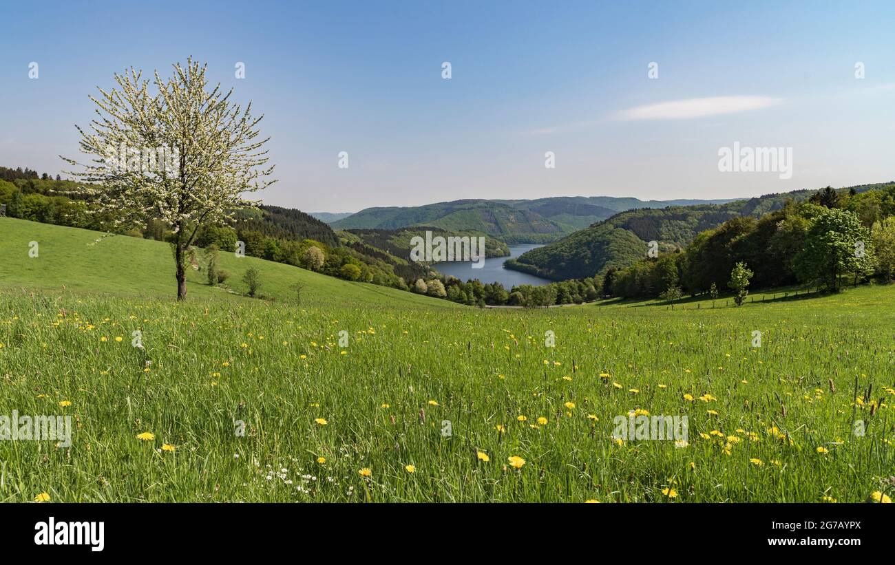 View of the Rursee in spring, Schöne Aussicht Simmerath, Germany Stock ...