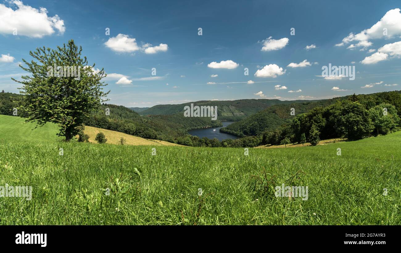 View of the Rursee in summer, Schöne Aussicht Simmerath, Germany Stock ...