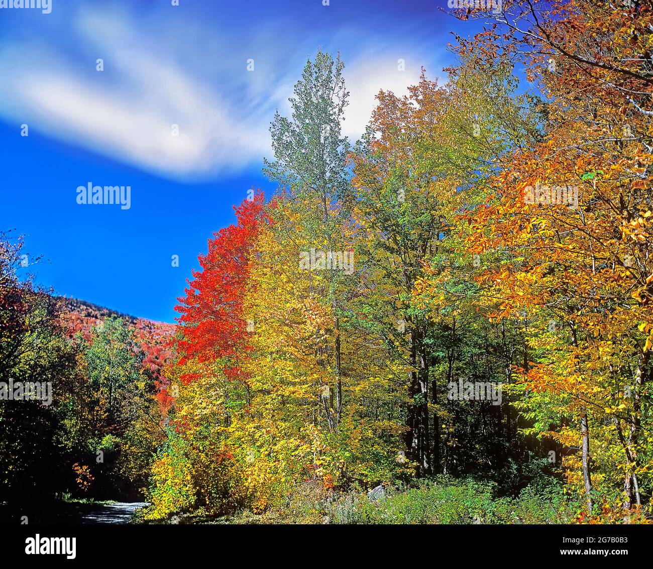 Greenville maine hi-res stock photography and images - Alamy