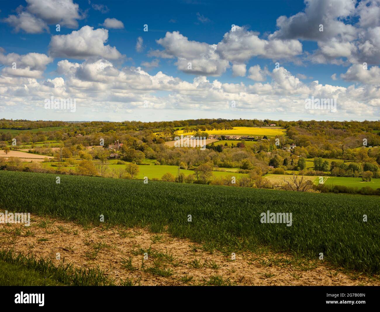 Kent agricultural landscape near Penhurst, England Stock Photo - Alamy