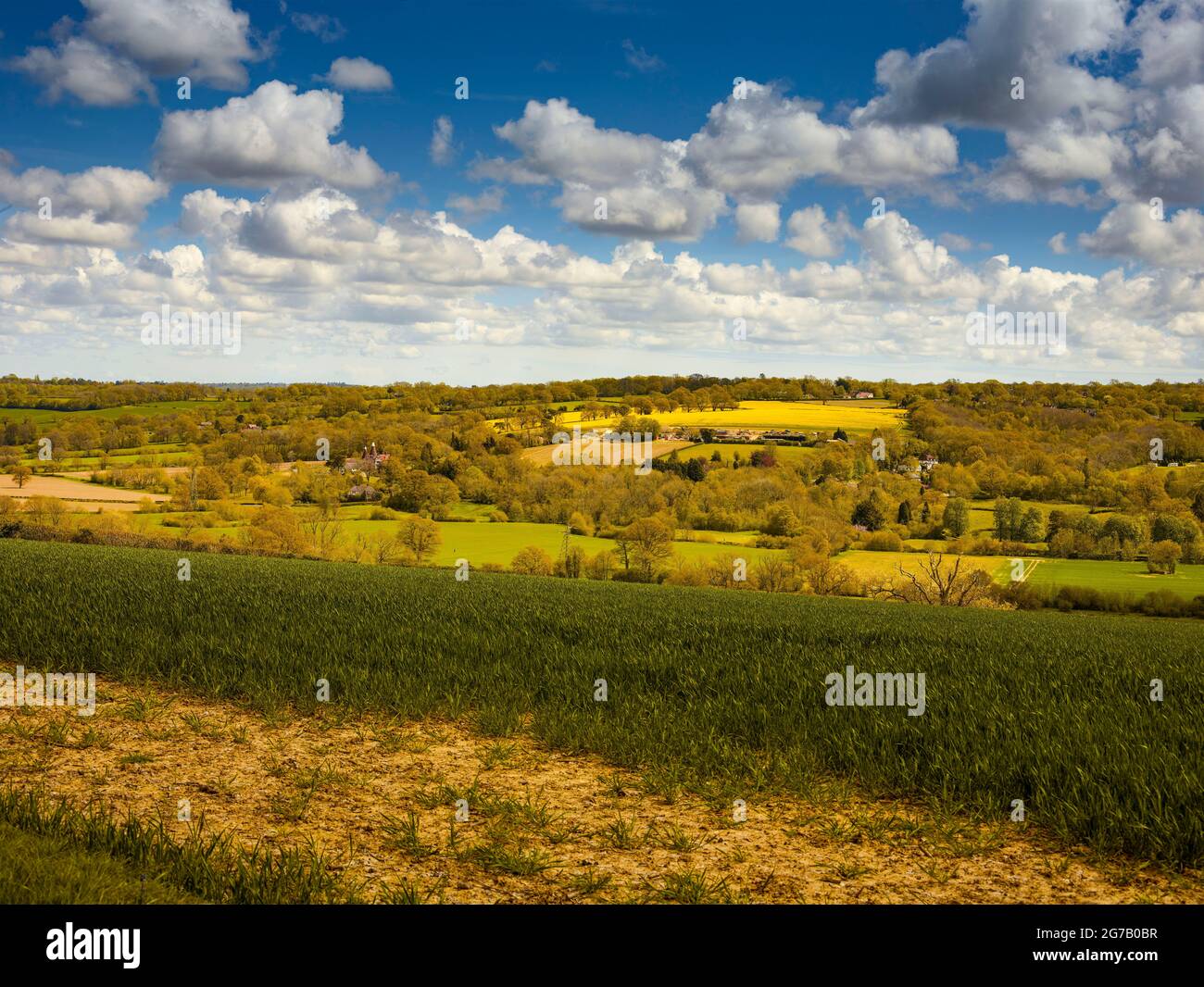 Kent agricultural landscape near Penhurst, England Stock Photo - Alamy