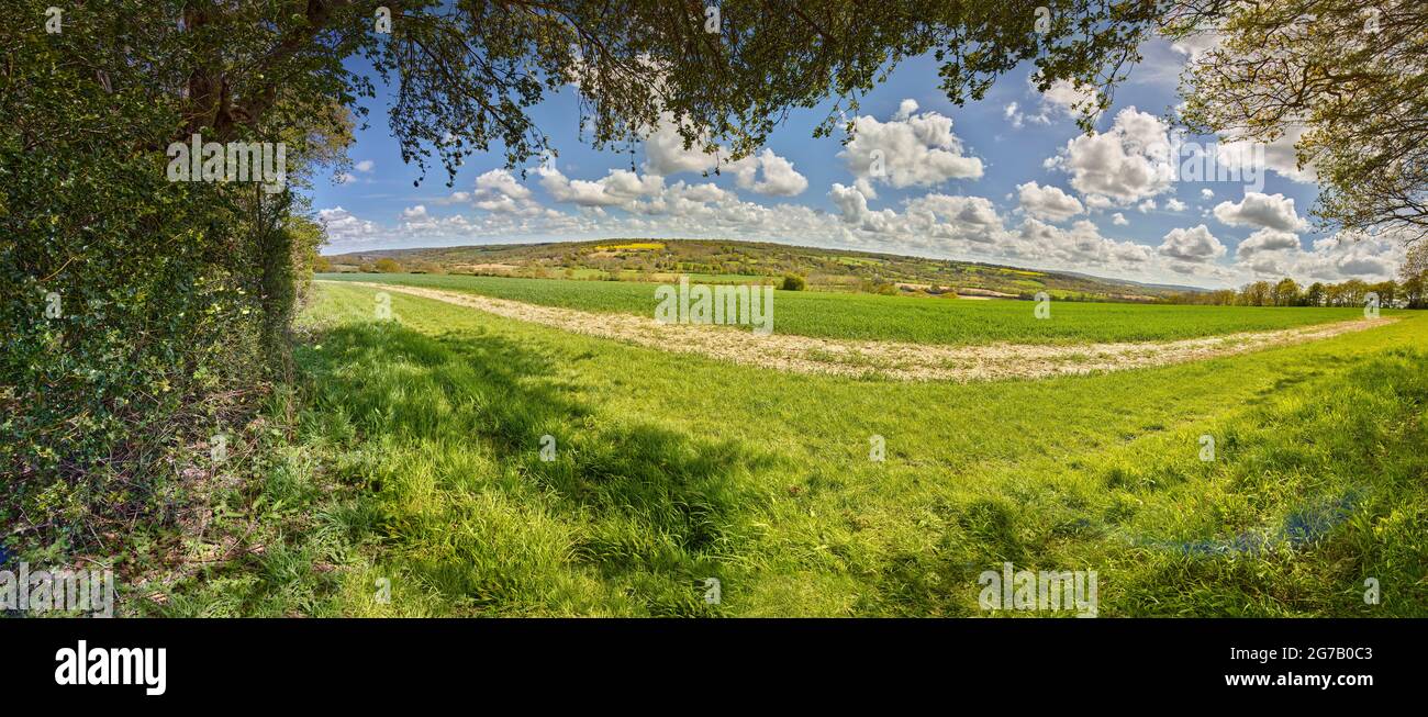 Wellbeing', simple open landscape with trees path and sunshine ...