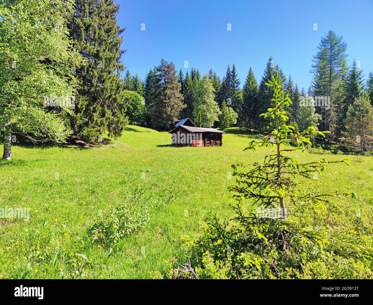 Forest and barns hi-res stock photography and images - Alamy