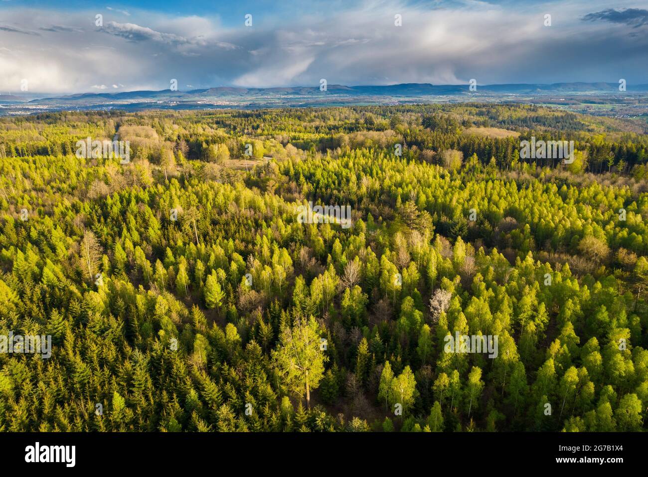 Photographing in colour hi-res stock photography and images - Alamy