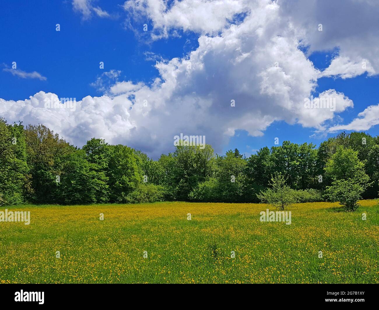 Landscape trees sky green hi-res stock photography and images - Alamy