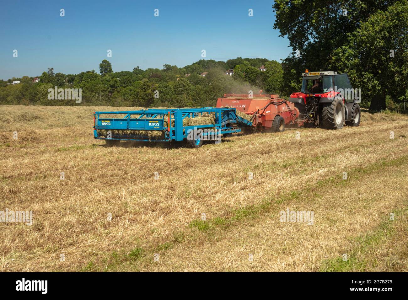 Haymaking with machines in a semi-urban farm, bright sunshine, blue sky ...