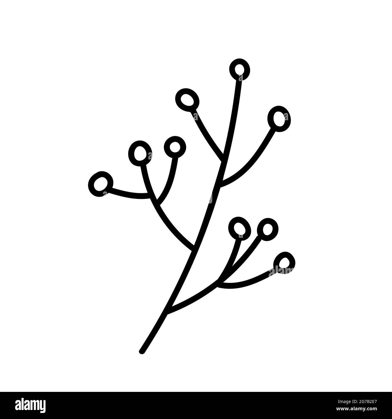 Sprig with berries isolated on white background. Simple vector hand ...