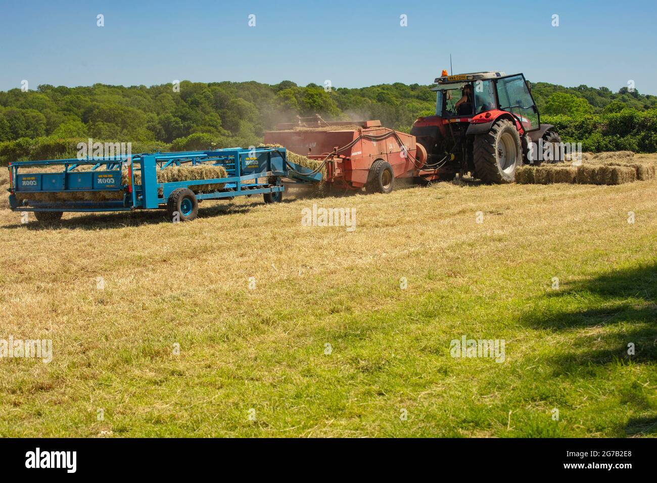 Haymaking with machines in a semi-urban farm, bright sunshine, blue sky ...