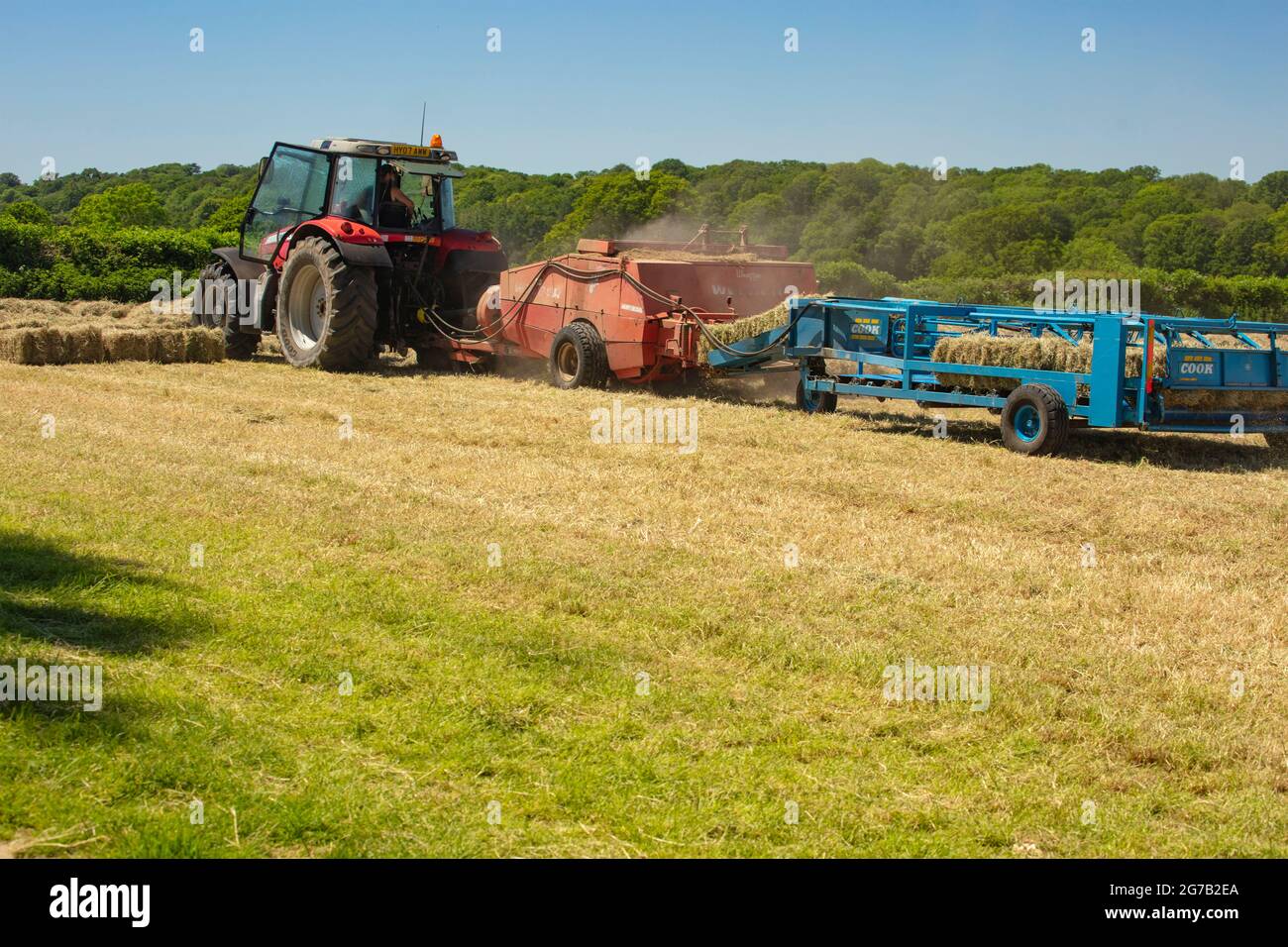 Haymaking with machines in a semi-urban farm, bright sunshine, blue sky ...