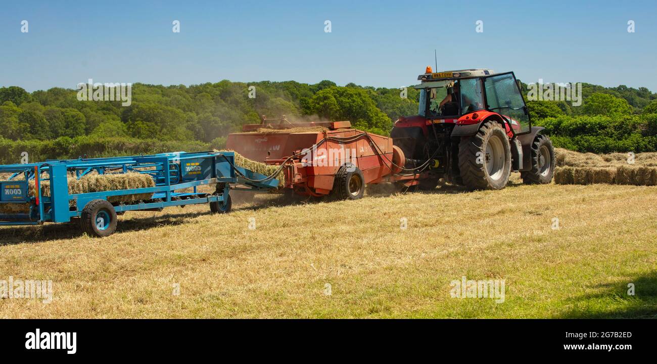 Haymaking with machines in a semi-urban farm, bright sunshine, blue sky ...