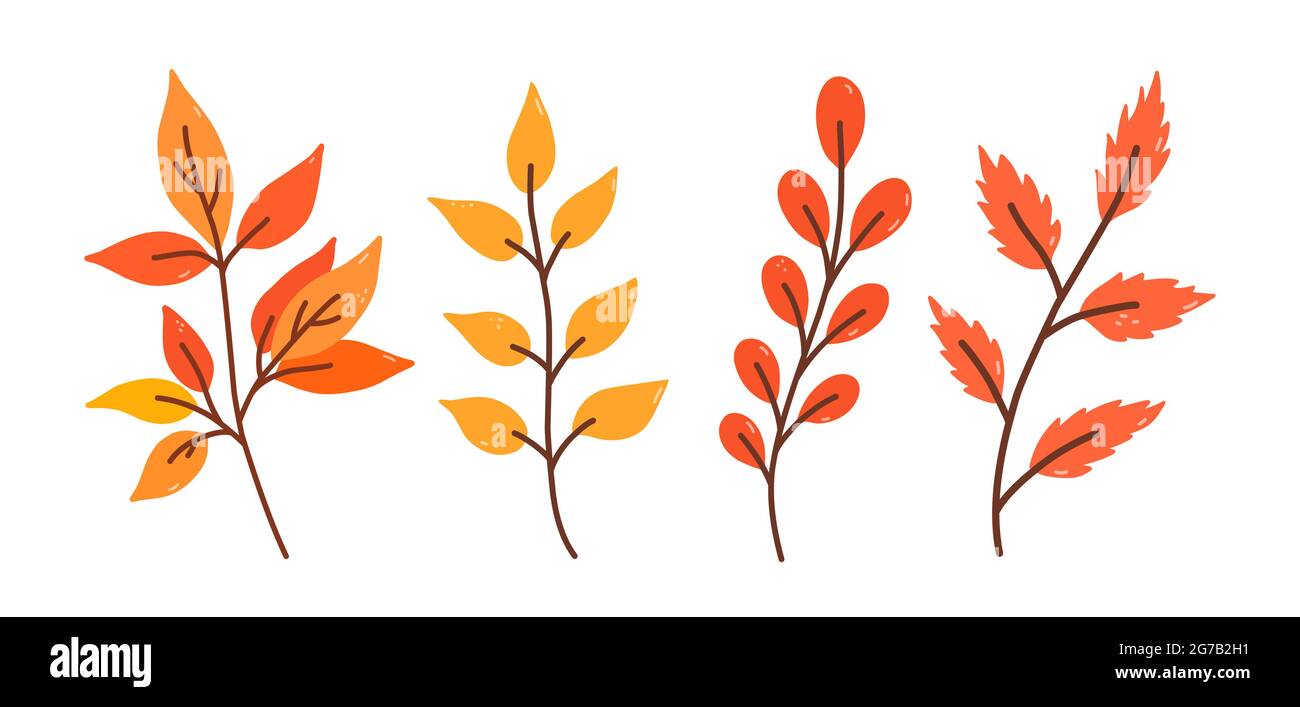 Set of autumn twigs with yellow and red leaves isolated on white background. Vector hand-drawn ...