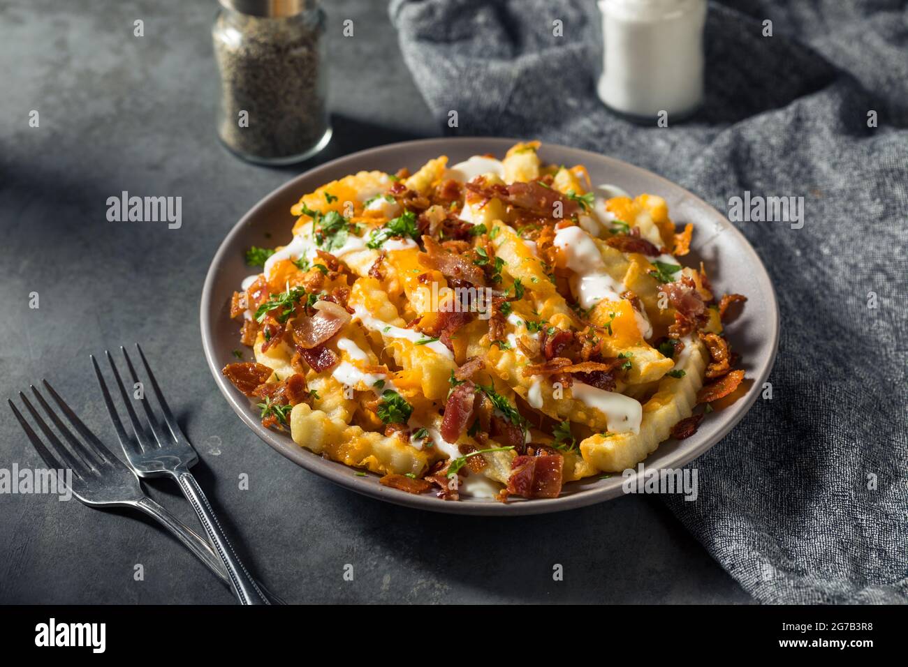 Homemade Bacon Cheddar Ranch Loaded French Fries Ready to Eat Stock ...