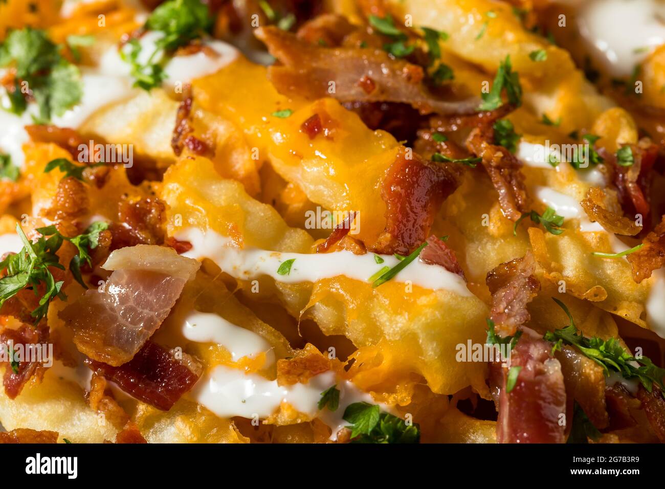 Homemade Bacon Cheddar Ranch Loaded French Fries Ready to Eat Stock ...