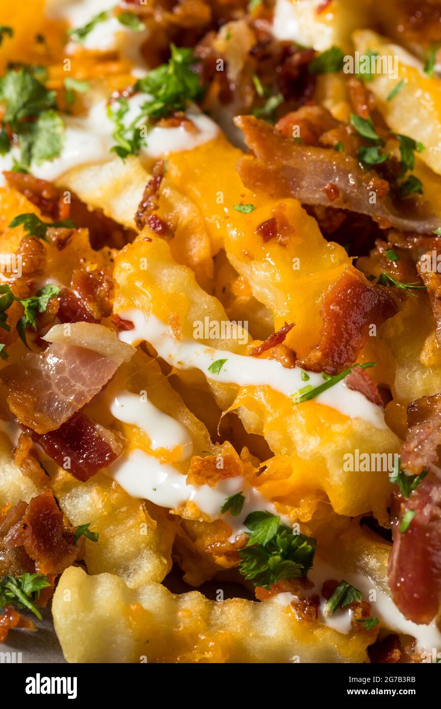 Homemade Bacon Cheddar Ranch Loaded French Fries Ready to Eat Stock ...