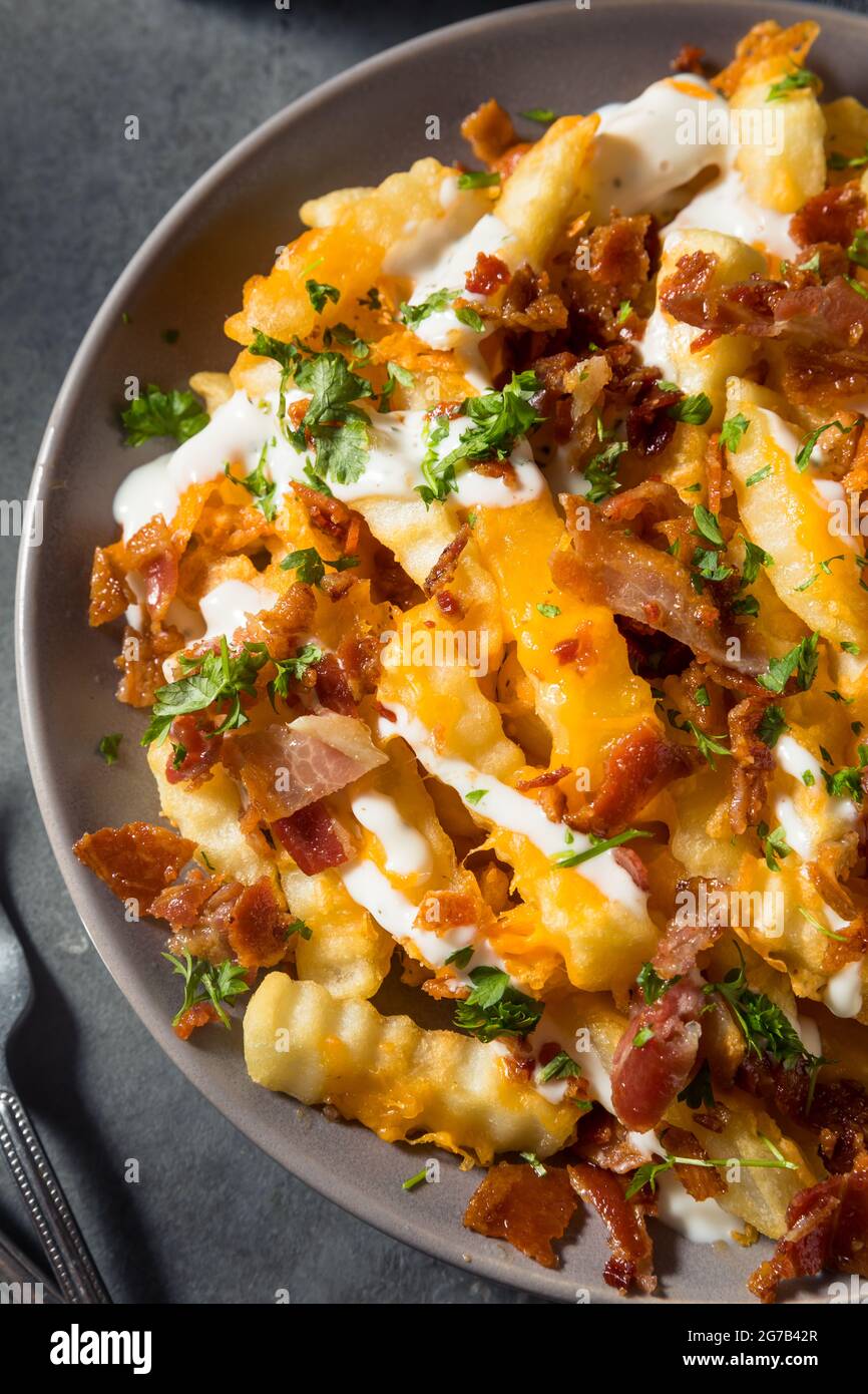 Homemade Bacon Cheddar Ranch Loaded French Fries Ready to Eat Stock ...
