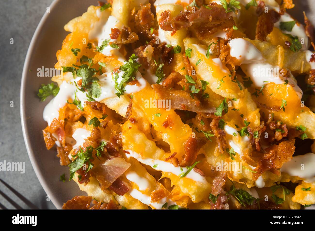 Homemade Bacon Cheddar Ranch Loaded French Fries Ready to Eat Stock ...