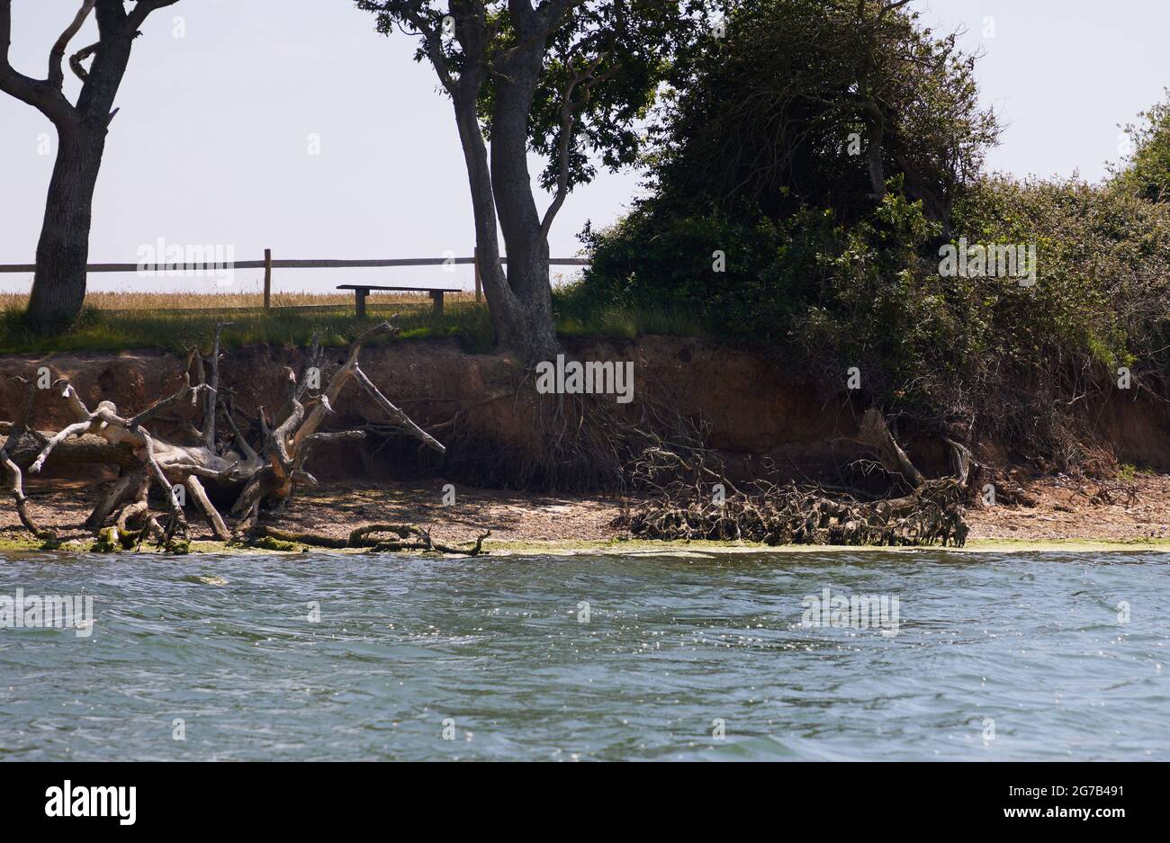 Evidence of erosion along the shoreline of Chichester Harbour Stock ...
