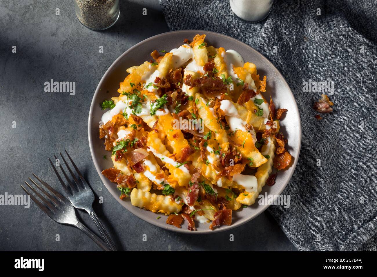Homemade Bacon Cheddar Ranch Loaded French Fries Ready to Eat Stock ...