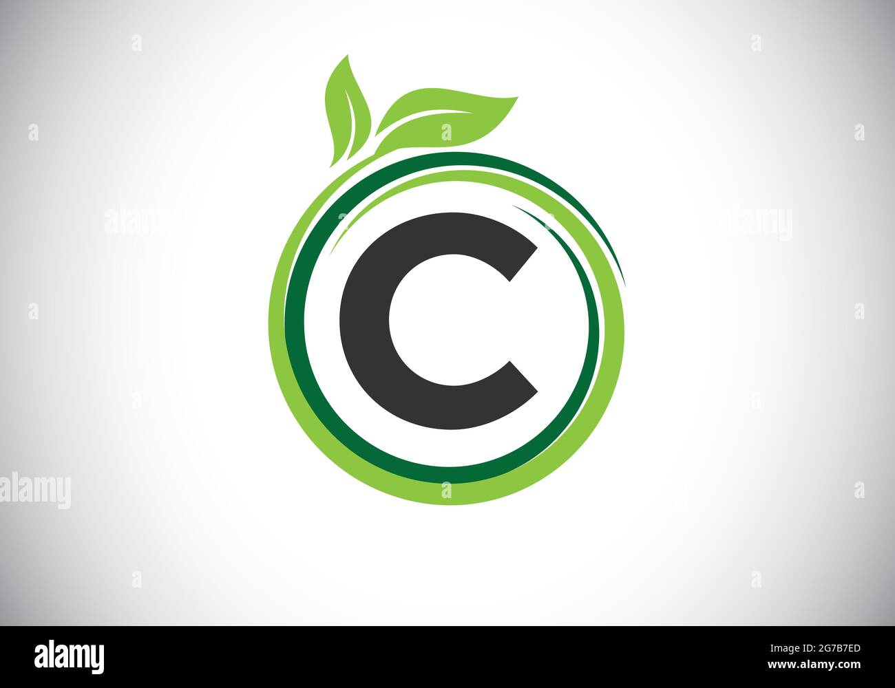 Initial C monogram letter alphabet in a spiral with green leaves. Font ...