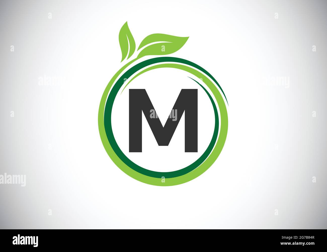 Green Letter M Logo