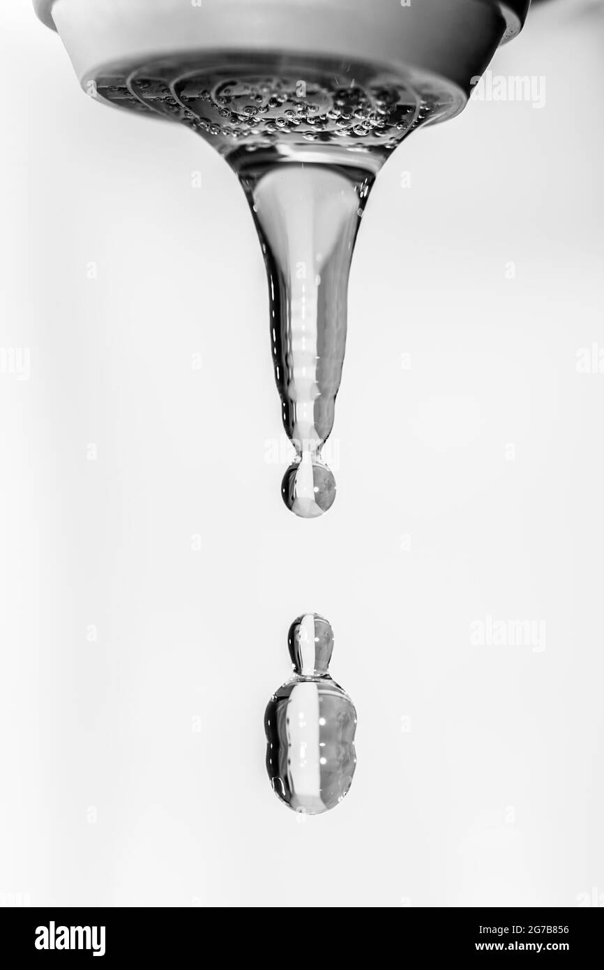 Crystal clear water drops falling from the faucet. Black and white ...