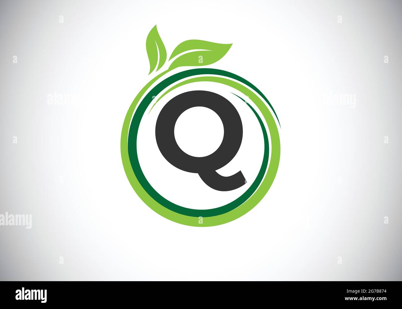 Initial Q monogram letter alphabet in a spiral with green leaves. Font ...