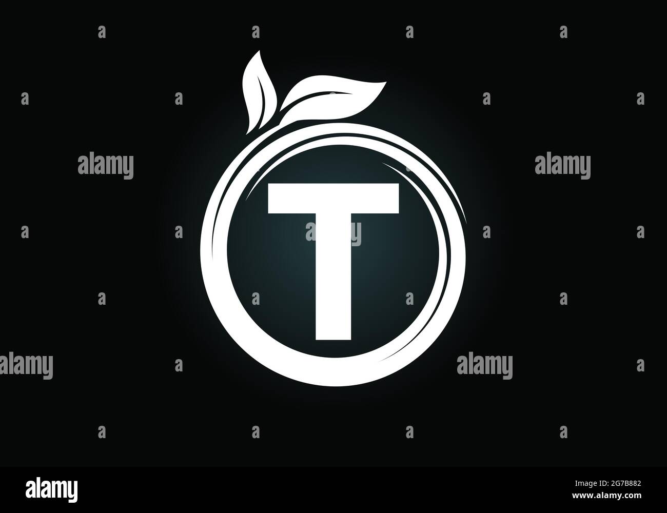 Black And White Letter T In Nature