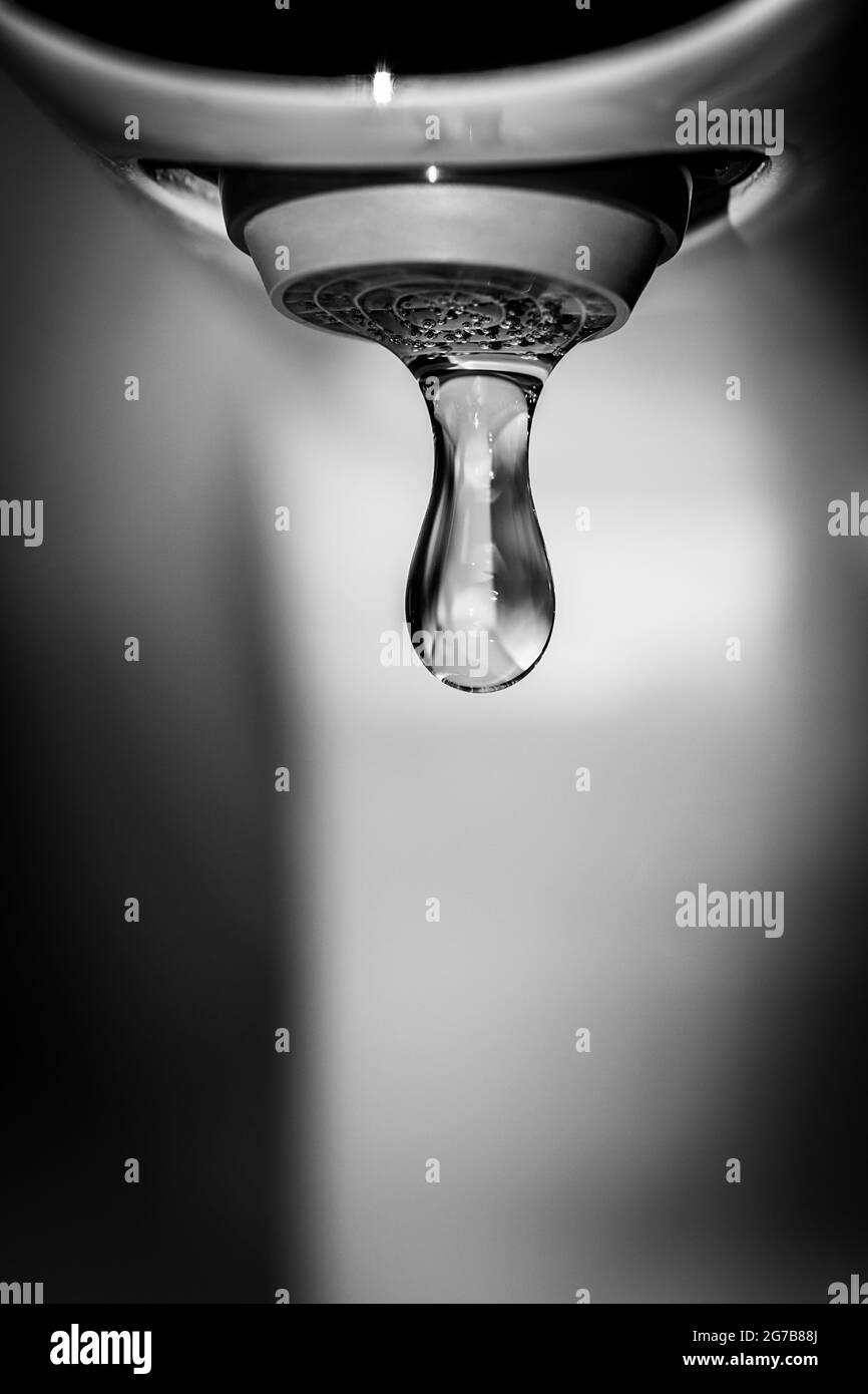 Clear water drops falling from the faucet. Contrast black and white ...