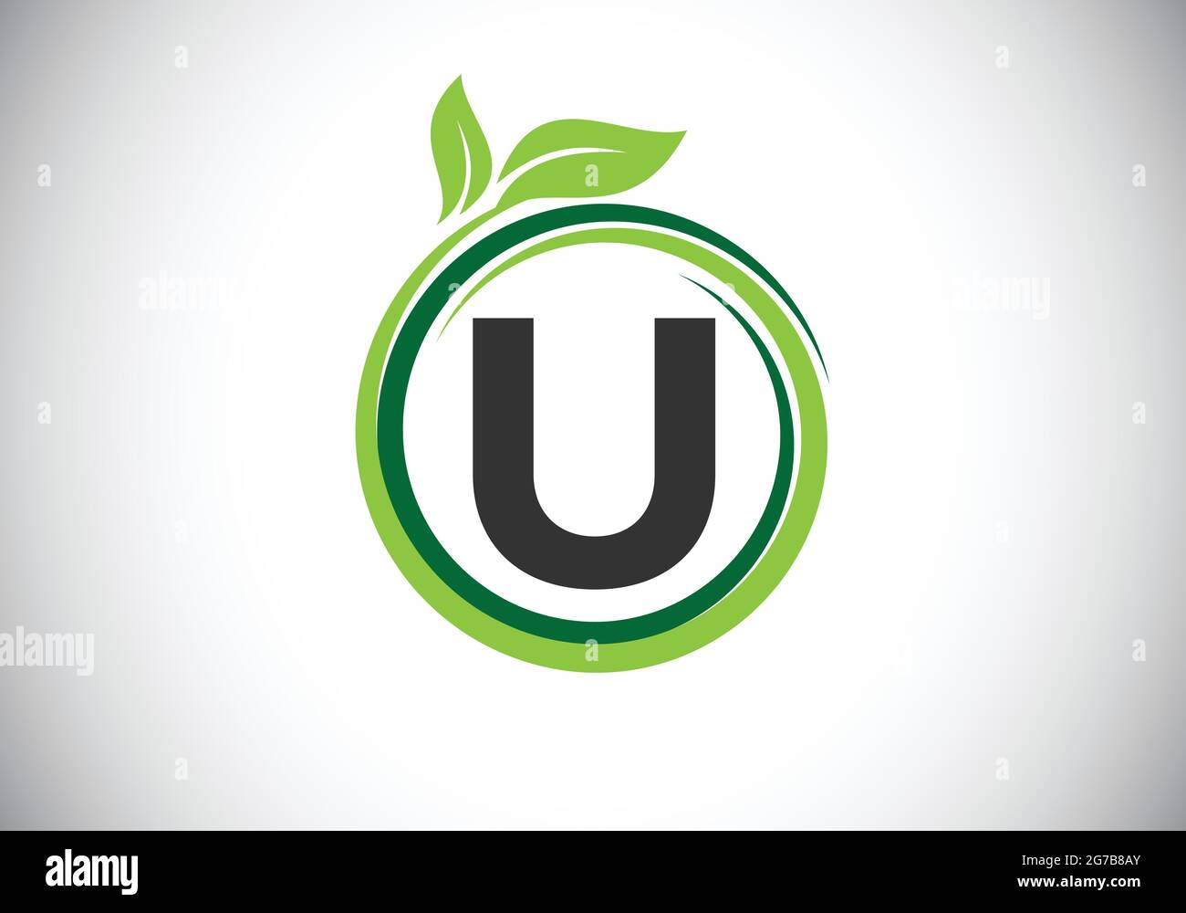 Initial U monogram letter alphabet in a spiral with green leaves. Font ...