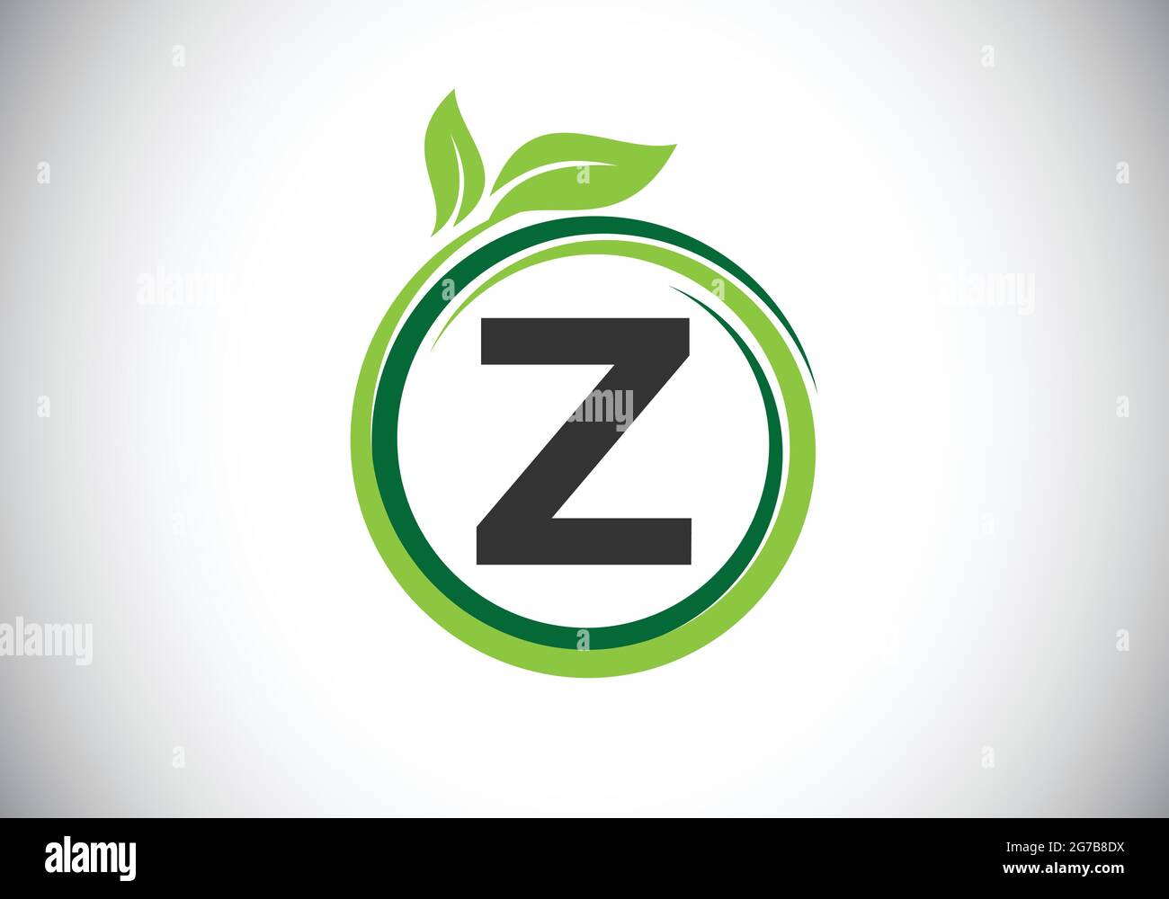 Initial Z monogram letter alphabet in a spiral with green leaves. Font ...