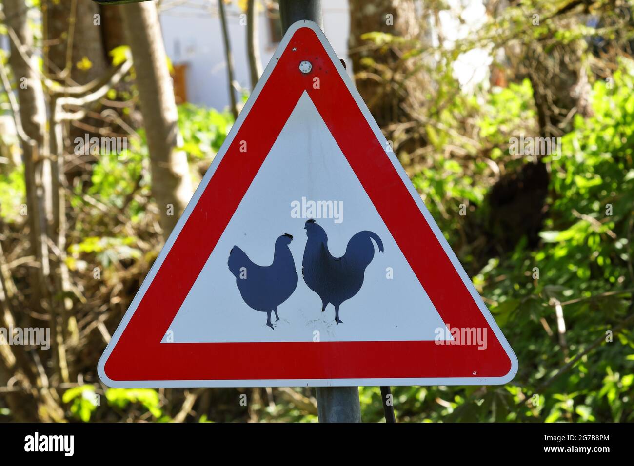 Warning sign for free-range chickens, Bayrisch Zell, district of ...