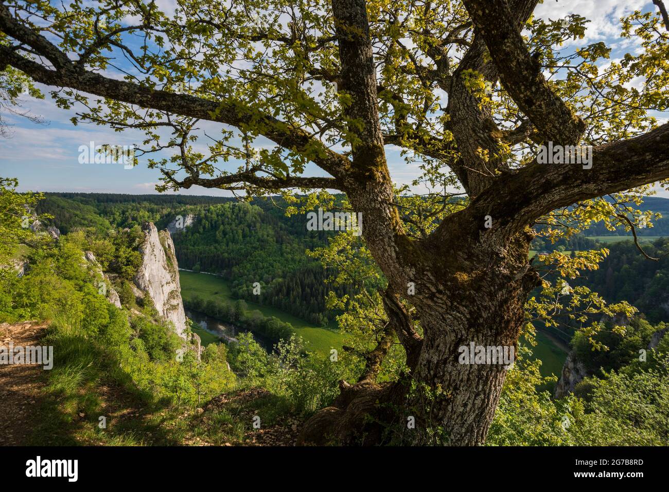 View from Stiegelesfelsen, near Fridingen, Upper Danube nature Park ...