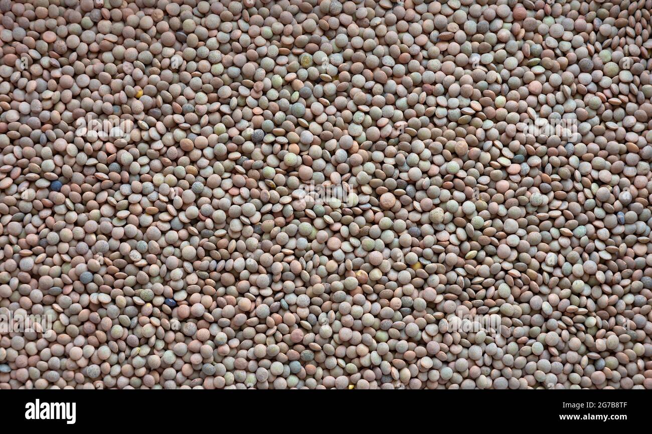 detail of a set of uncooked lentils as seen from above Stock Photo - Alamy
