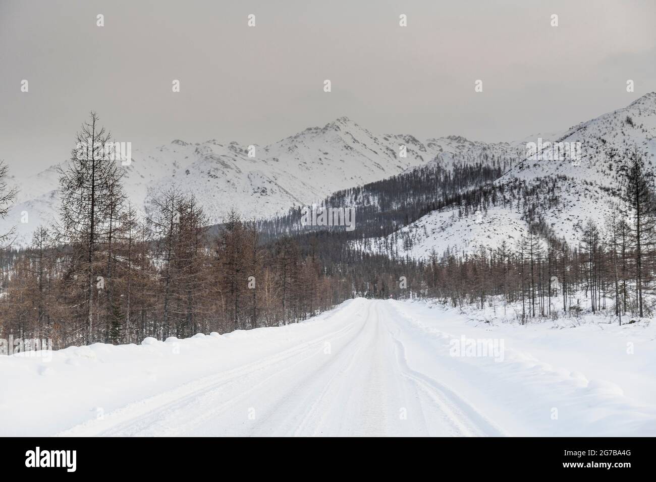 Road of Bones in the Suntar-Khayata mountain Range, Sakha Republic ...