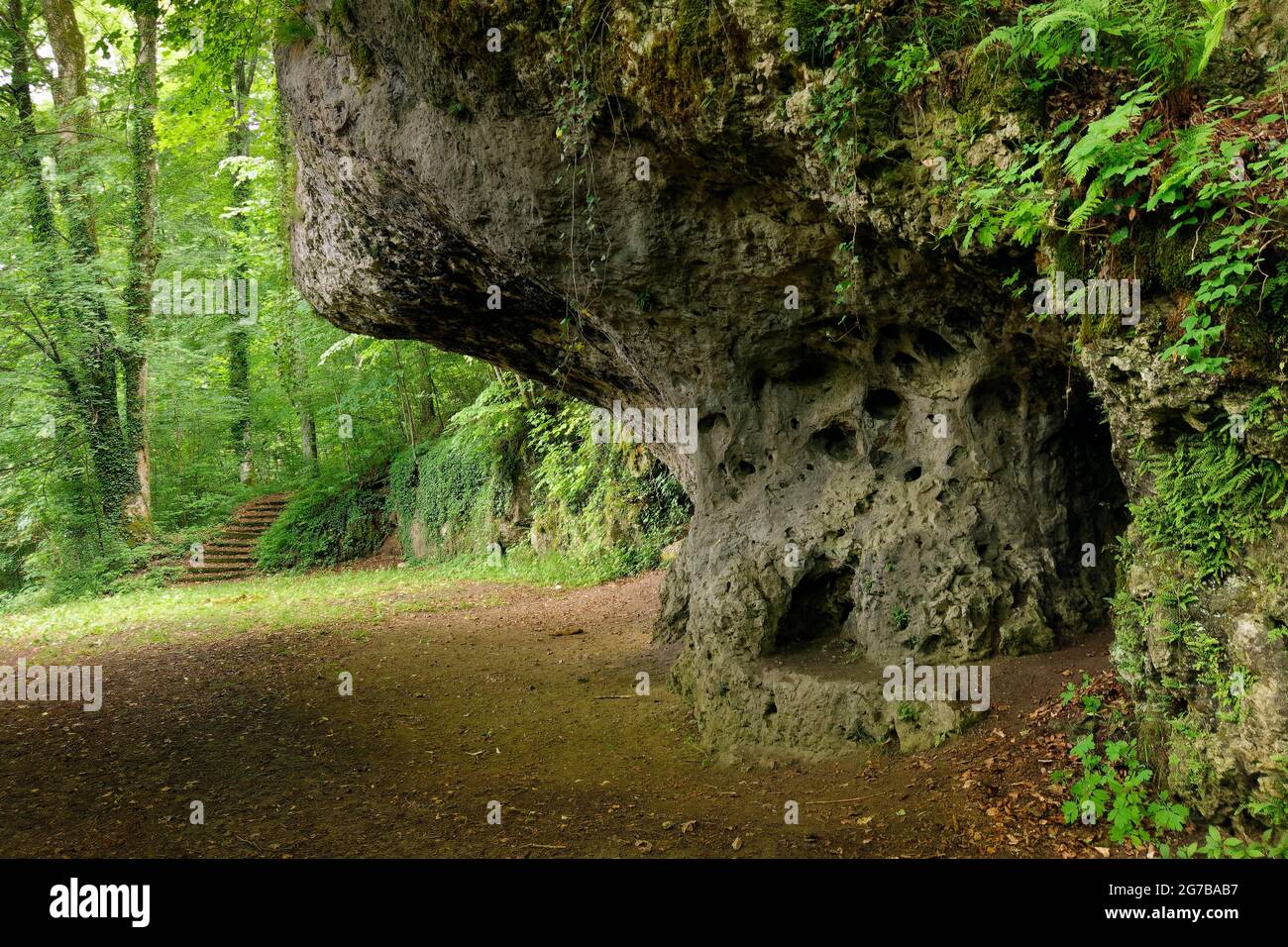 Rocky overhang, cave entrance overgrown with fern and ivy ...