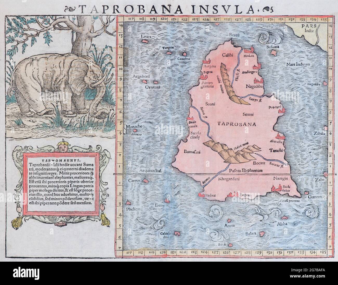 Sri lanka and switzerland hi-res stock photography and images - Alamy