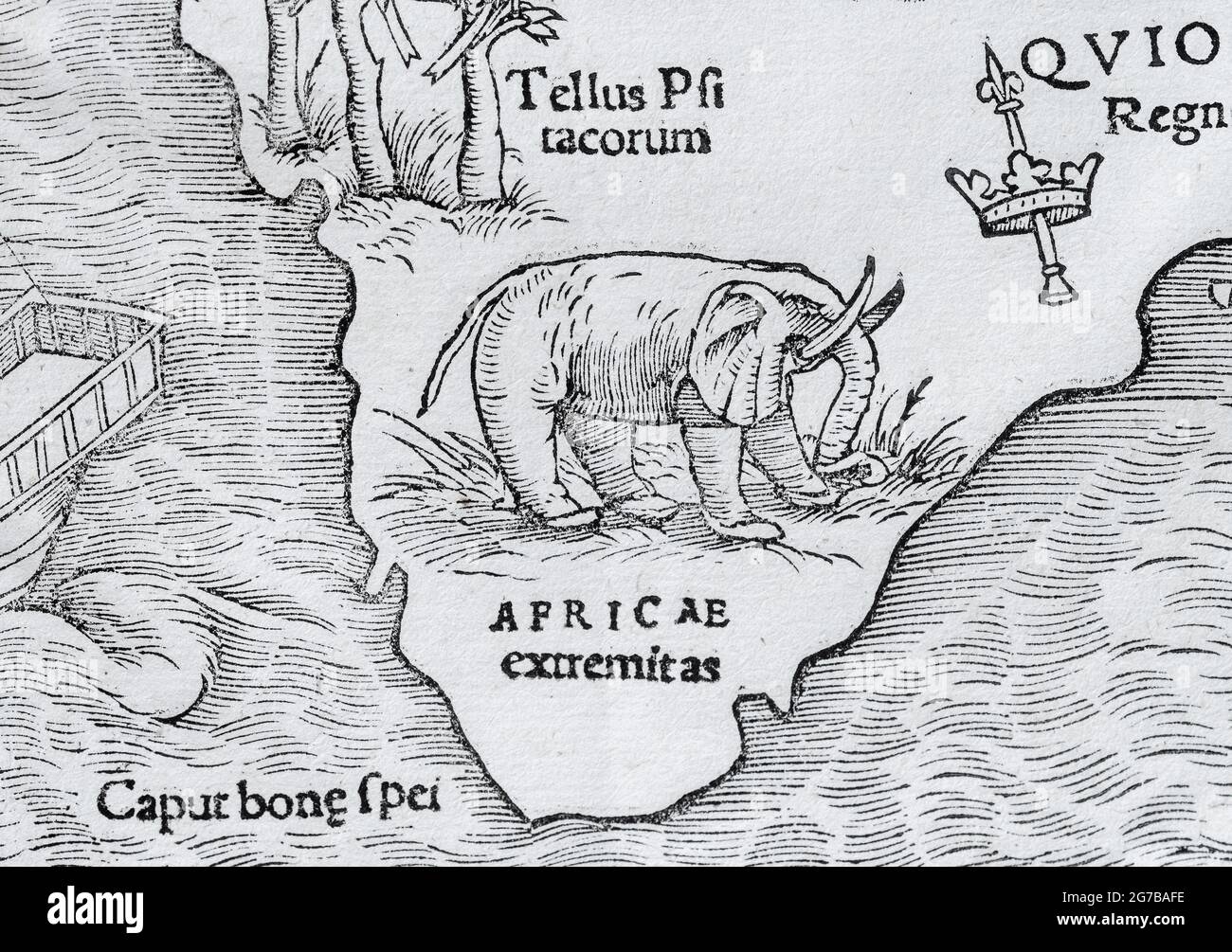 Elephant, detail, earliest printed map of the entire African continent ...